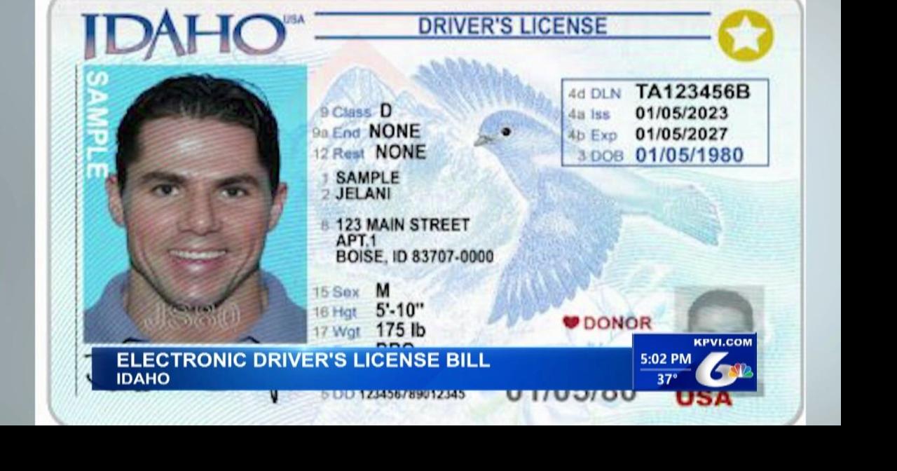 Idaho Falls Legislator to Introduce Bill for Digital Driver's Licenses ...
