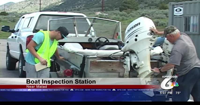 Boat check stations are looking for invasive species | News | kpvi.com