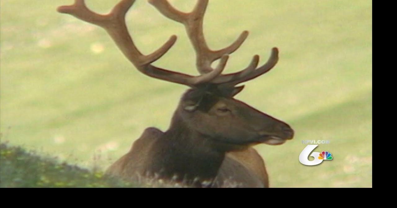 Big Game Winter Update | Local News | kpvi.com