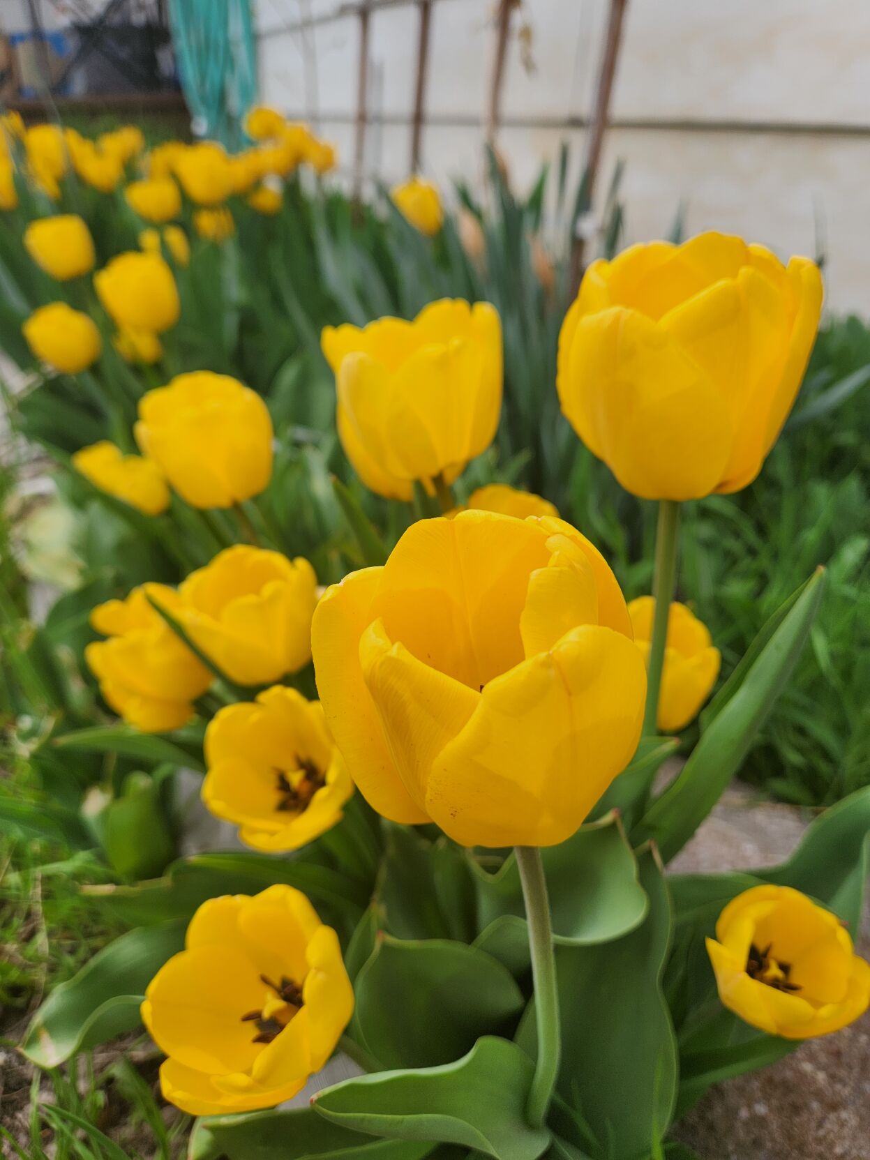 Blaise Smith | Weather Pix | kpvi.com