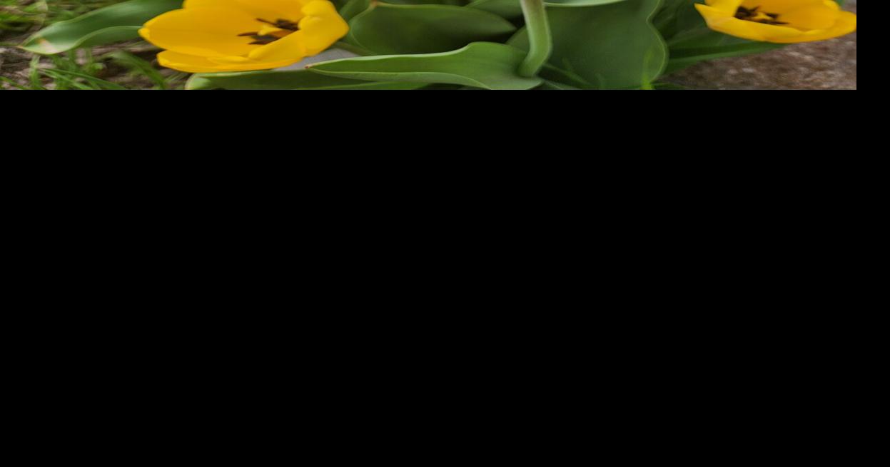 Blaise Smith | Weather Pix | kpvi.com