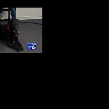 'Tail-Wagger Wednesday' | Local News | kpvi.com