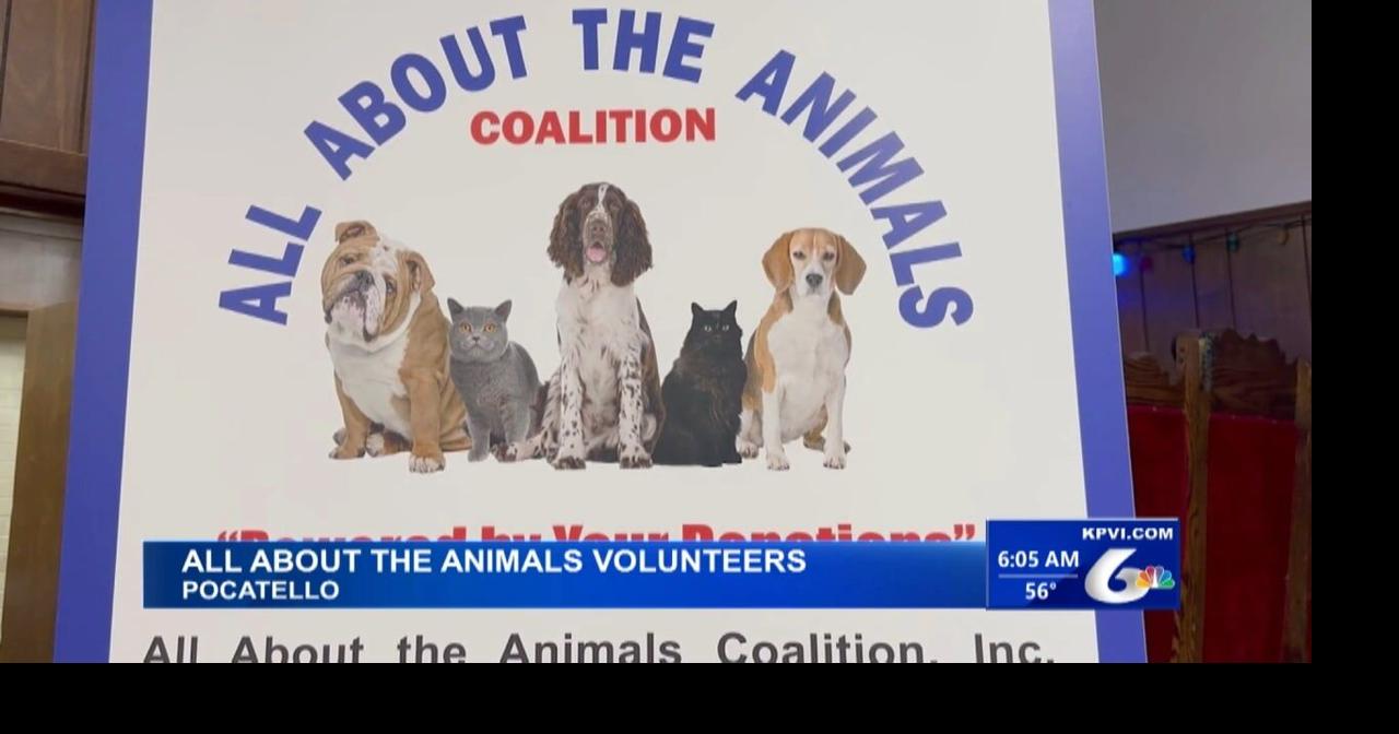 All About the Animals Coalition Welcomes Volunteers | Local News | kpvi.com