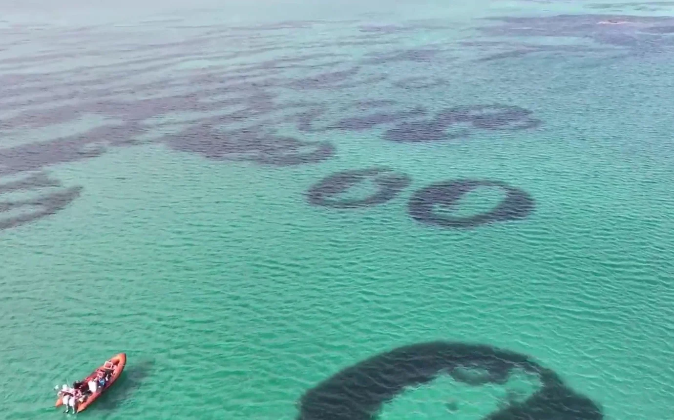 Seagrass ‘fairy circles’ captured for first time | Interests | kpvi.com