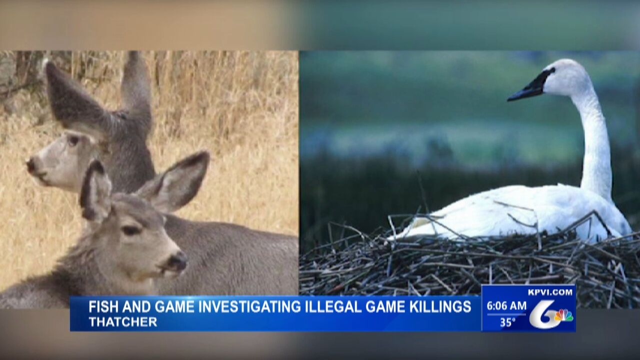 Livestream | kpvi.com