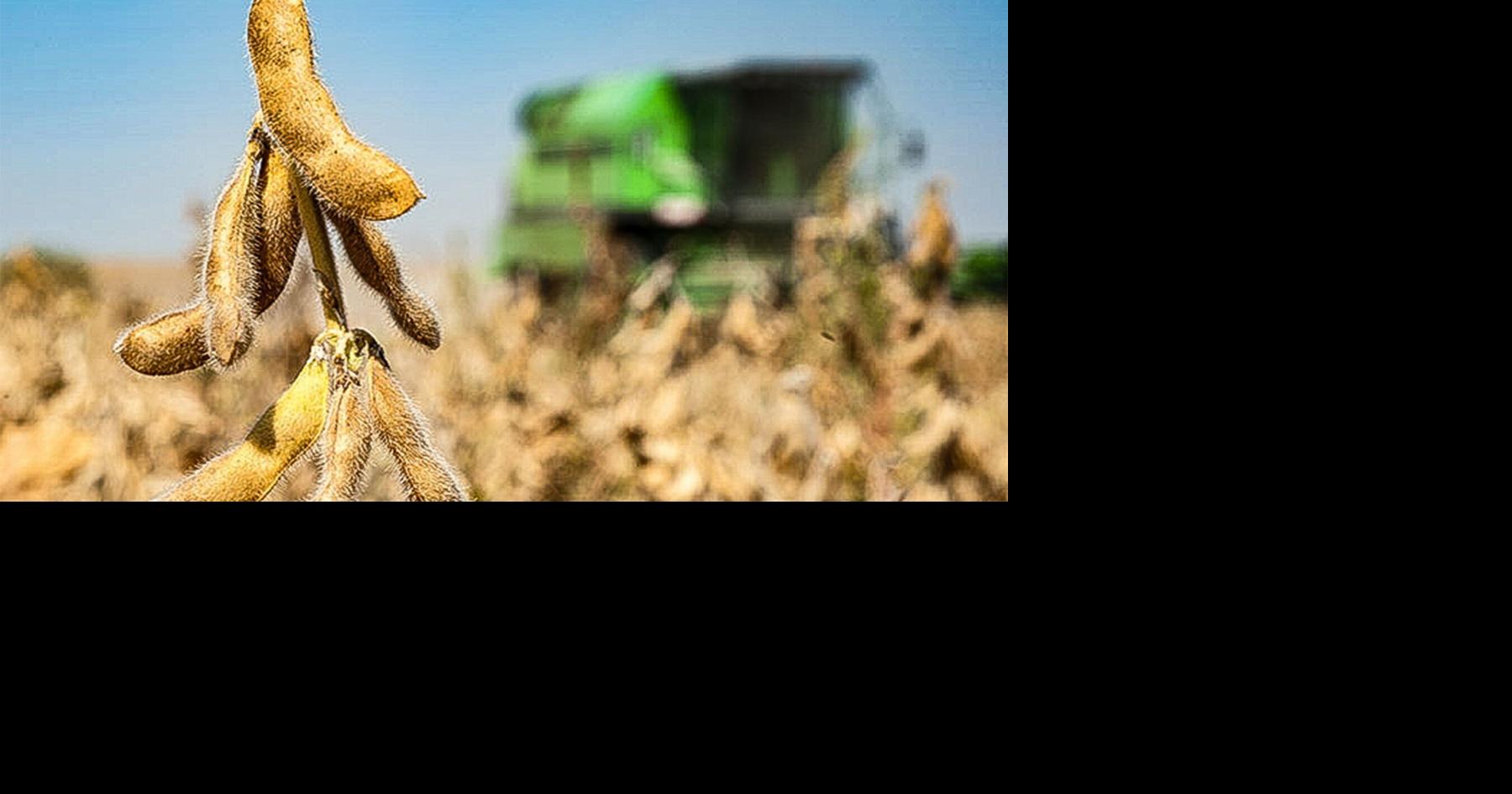 USDA data negative across the board | Interests | kpvi.com