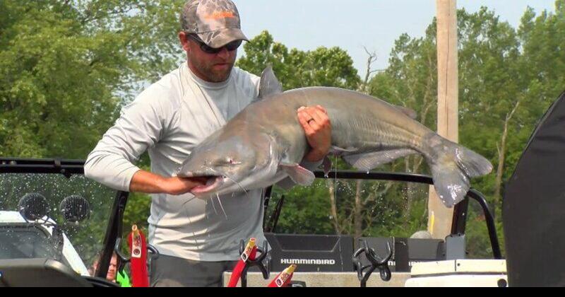 Catfish tournament wraps up, winners announced | Local | kq2.com