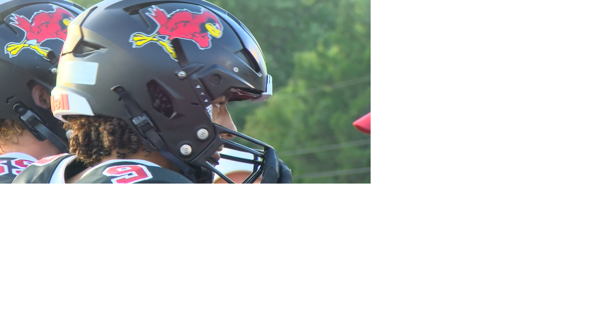 Benton Cardinals named Anderson Auto Group Team of the Week | News ...