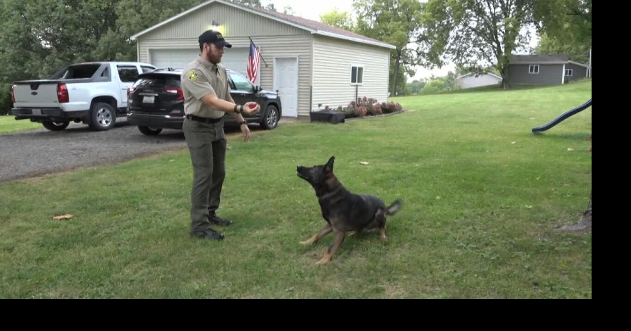Andrew County Sheriff K9 gifted body armor | Video | kq2.com