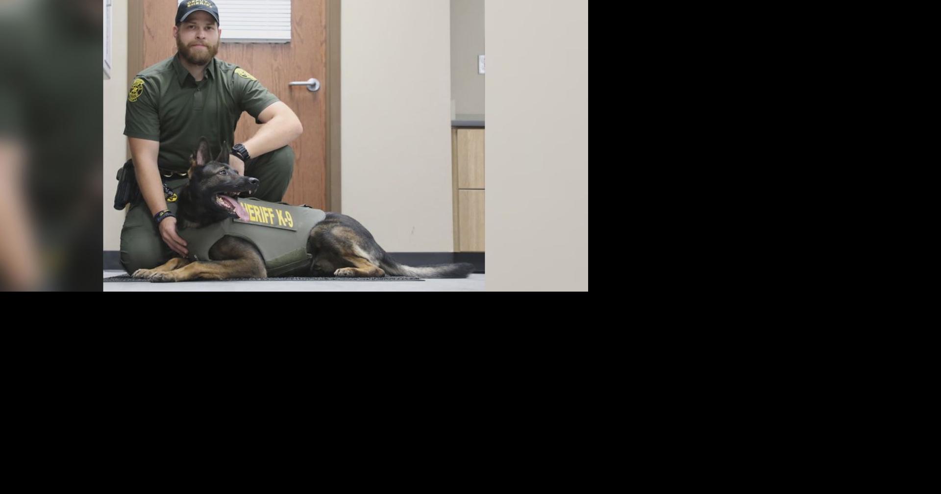 K9 Harry with the Andrew County Sheriff's Department Receives ...