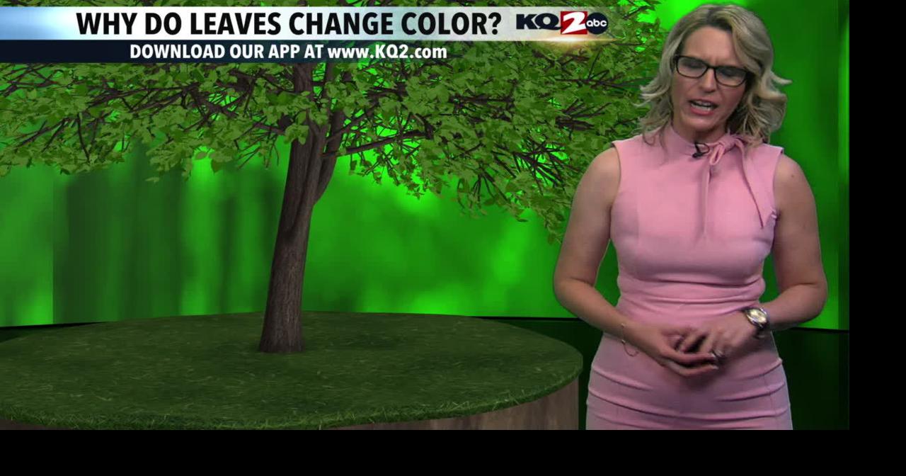 Why do leaves change colors in the fall? | News | kq2.com