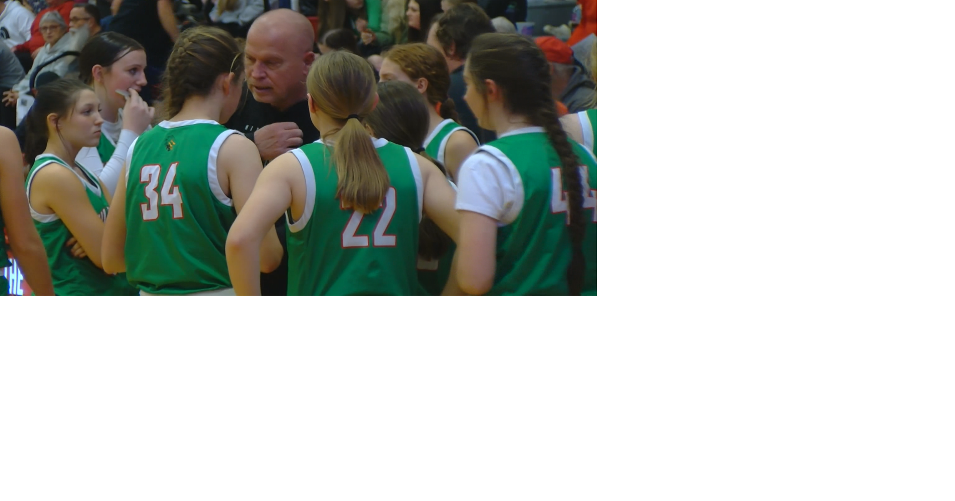 Mid-Buchanan's Elms relieved of girls basketball coaching duties ...