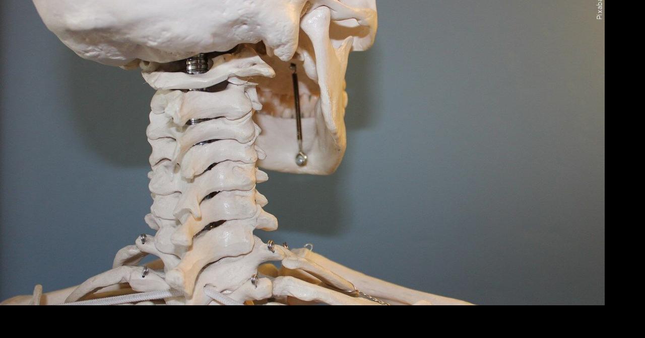 Cut marks on fossilized bone may reveal ancient cannibals | National ...