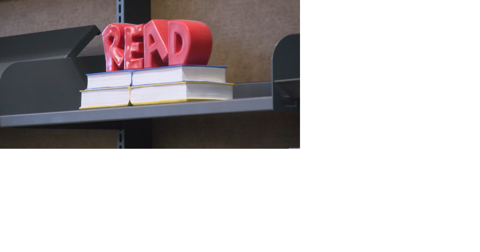 SJSD book committees make decisions regarding 2 more challenges | News ...