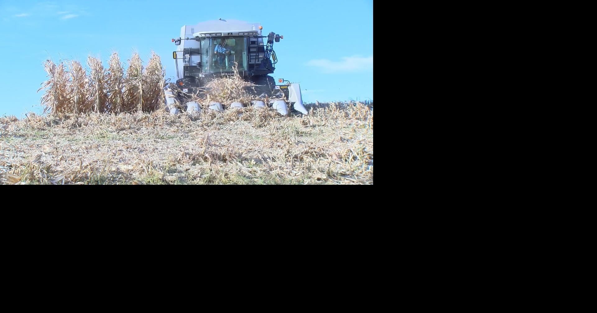 Cost-share pilot program launching in Buchanan County | News | kq2.com