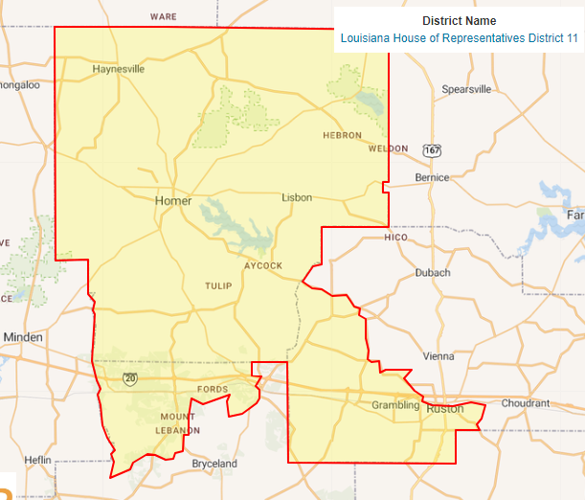 2 disqualified from state Representative District 11 race | News | ktbs.com