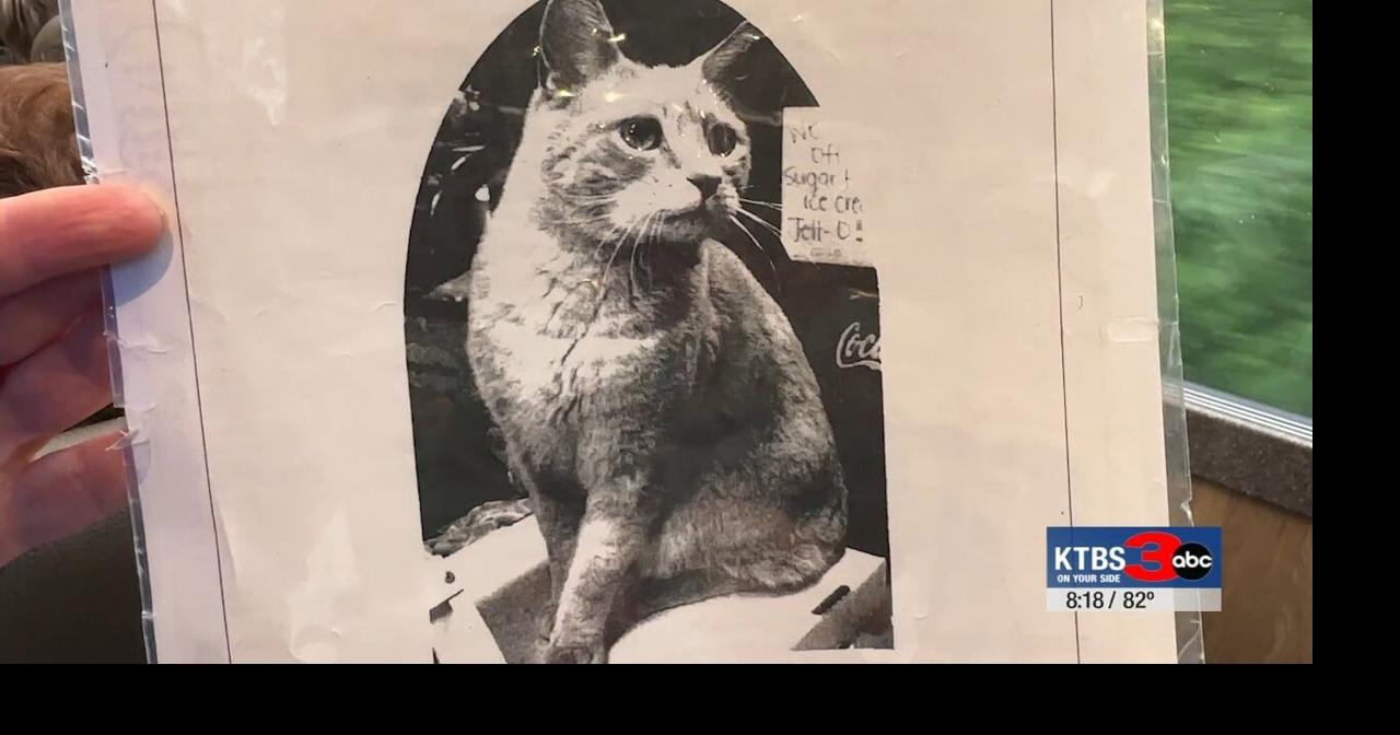 Collette tour group learns the fascinating tale of a famous feline ...