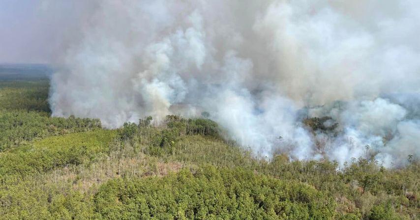 LDAF, LFA offer $15,000 reward for arson information | News | ktbs.com