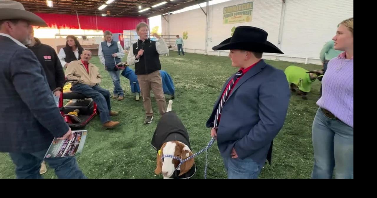 Rick Rowe previews Wednesday's 2025 ALTAC Jr. Livestock Sale | Raised ...