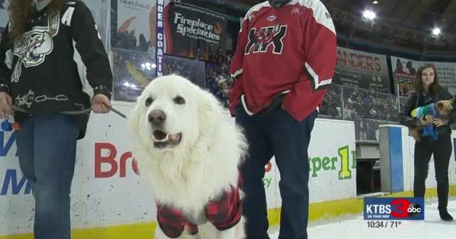 Pooches at the Pond | Community | ktbs.com
