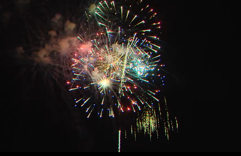 Fireworks can scare pets into running away; how to keep them safe this ...