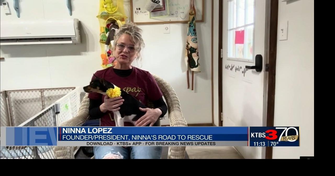 Paws to Care: Missouri searches for her forever home | Paws to Care ...