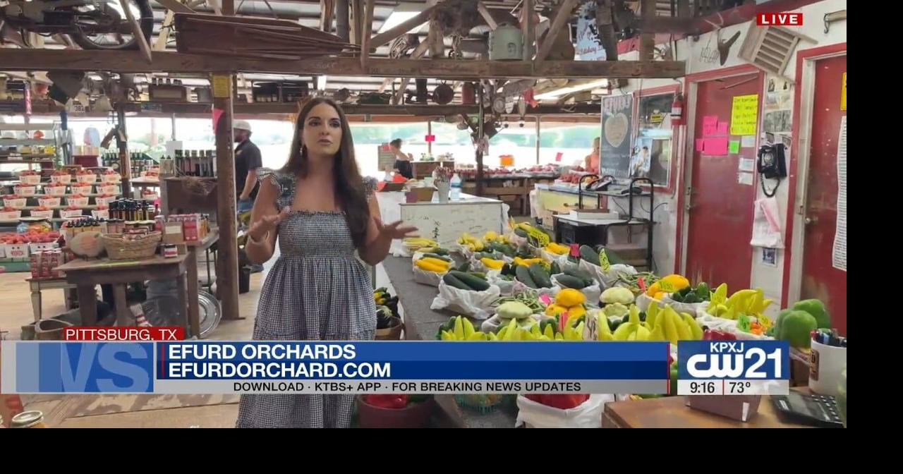 Picking Peaches at Efurd Orchards with Bethany Nolan | News | ktbs.com
