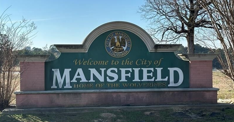 Mansfield, Stonewall mayors draw opposition in reelection bids | News ...