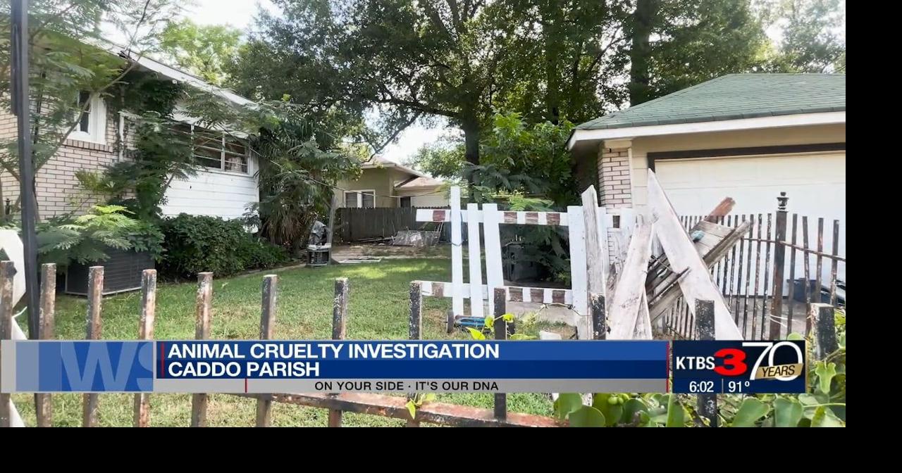 Drug arrest leads to animal cruelty concerns; Caddo Animal Control ...