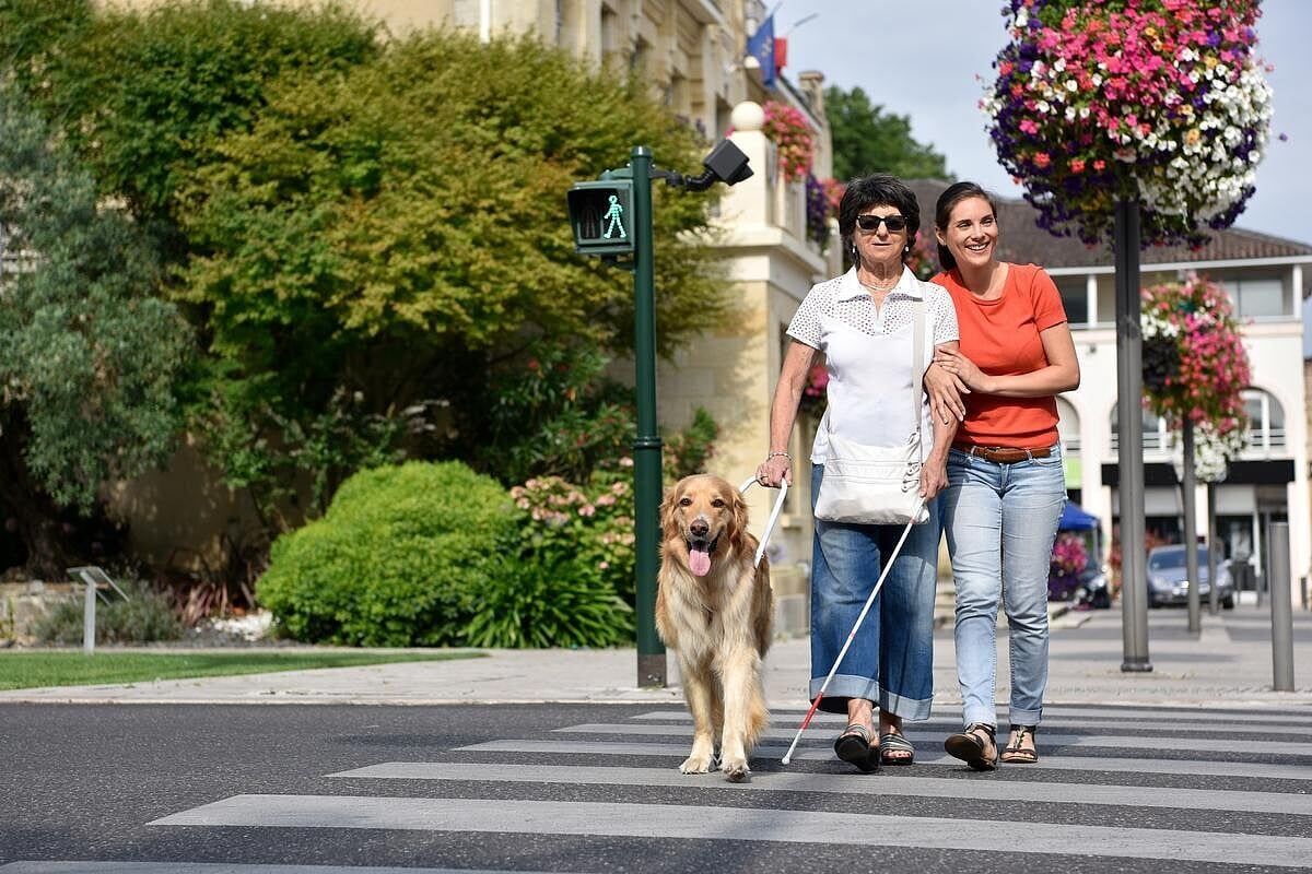 Faulty Genes Don't Always Lead To Vision Loss, Blindness | Health ...