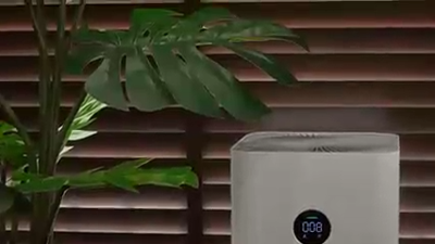 Indoor Air Quality Month: Tips to keep your home safe | Community ...