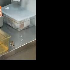 Video shows rodent jumping into deep fryer at Texas Whataburger | Texas ...