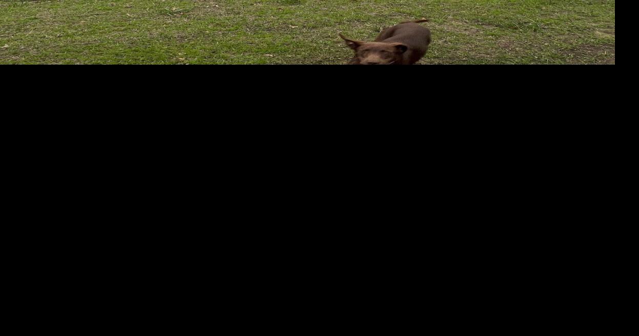 Heavy storm damage with tornadoes around the ArkLaTex 3/2/23 ...