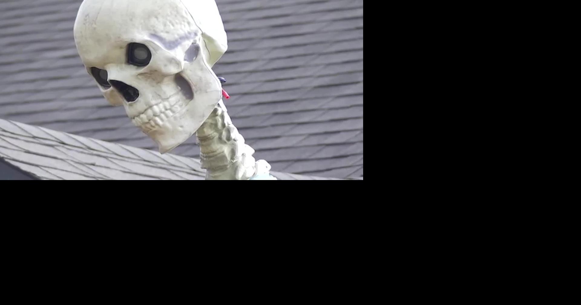 FL: JAGUARS FAN KEEPS SKELETON UP FOR GOOD LUCK | National | ktbs.com