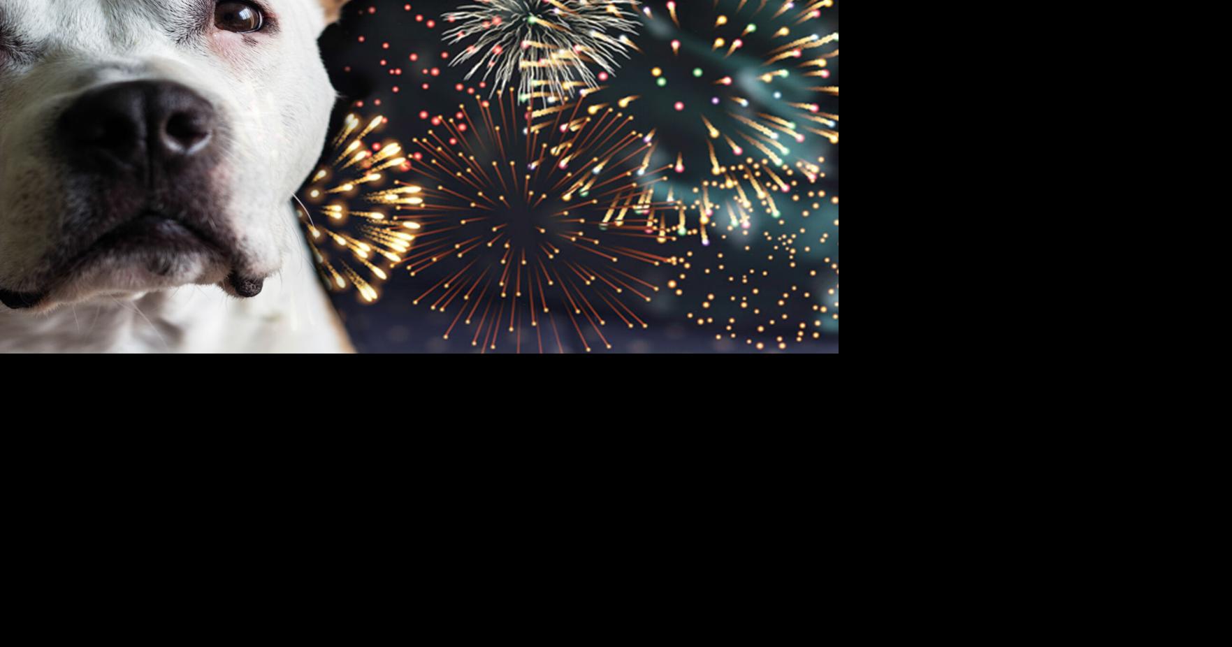 Humane Society of Louisiana urges pet owners to protect their pets this ...