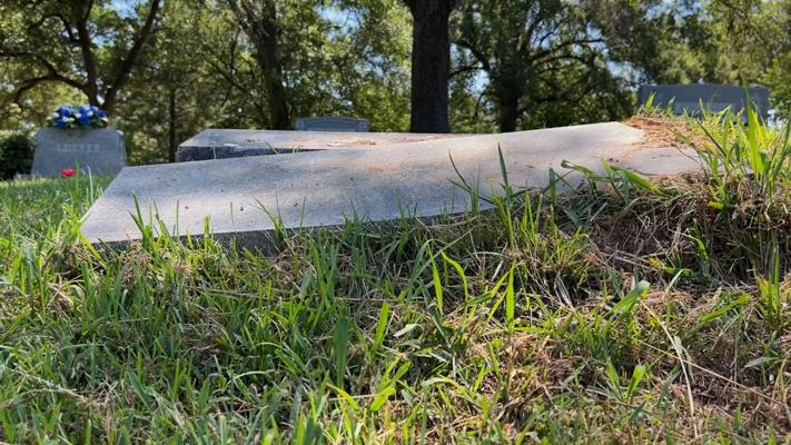Louisiana Cemetery Board moves forward with hearing on Forest Park ...