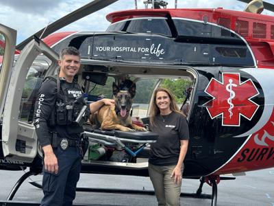 Running event to honor fallen K9's across the United States | In Case ...