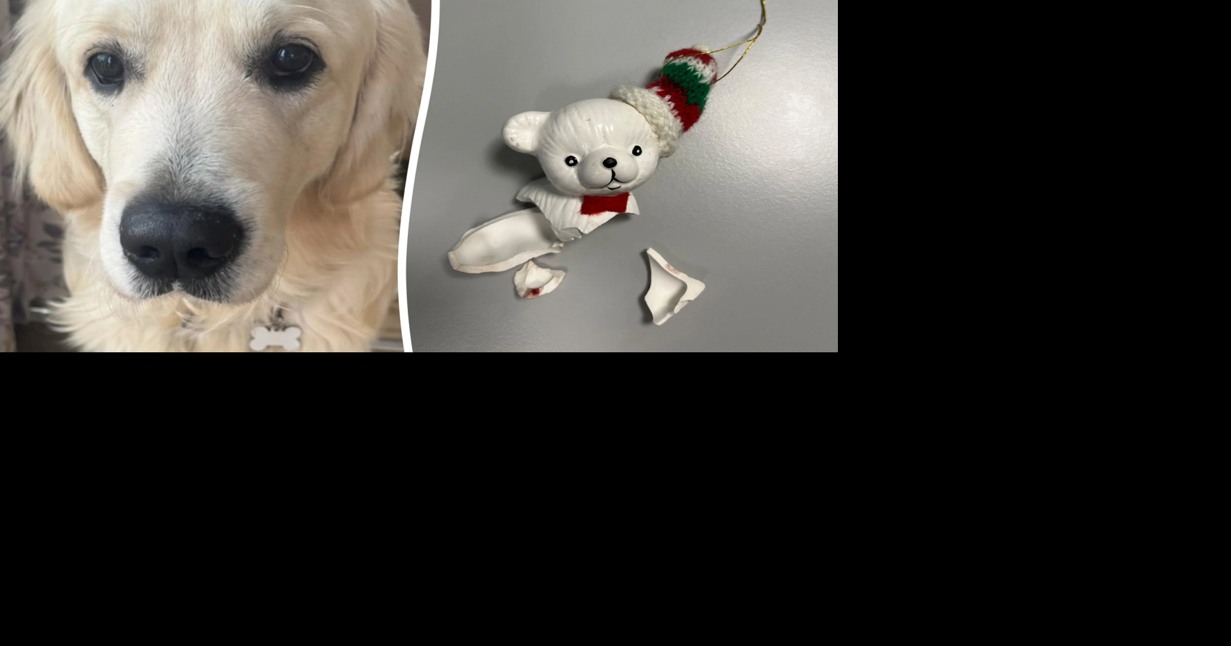Dog rushed to vet after swallowing ceramic Christmas ornament ...