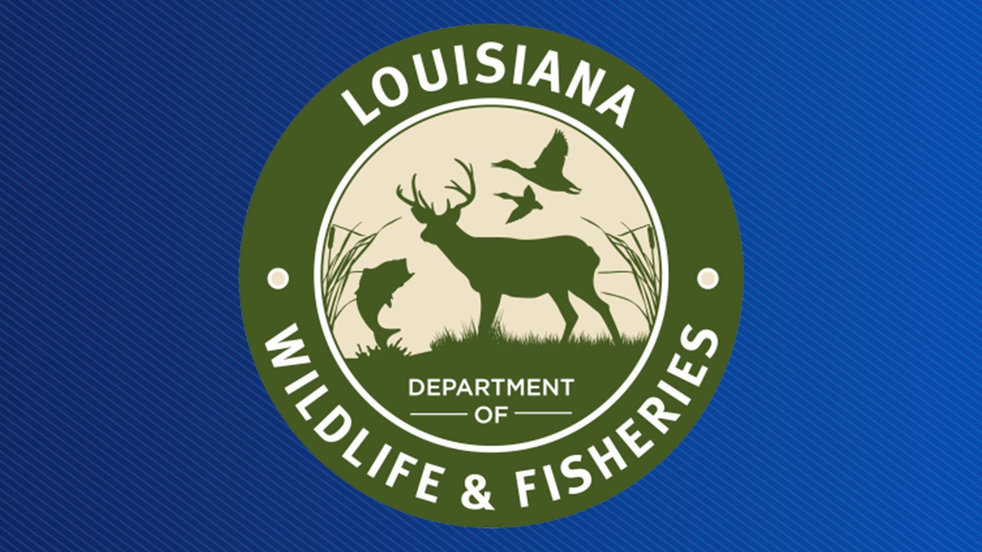 Louisiana Department of Wildlife & Fisheries looking into fatal boating ...
