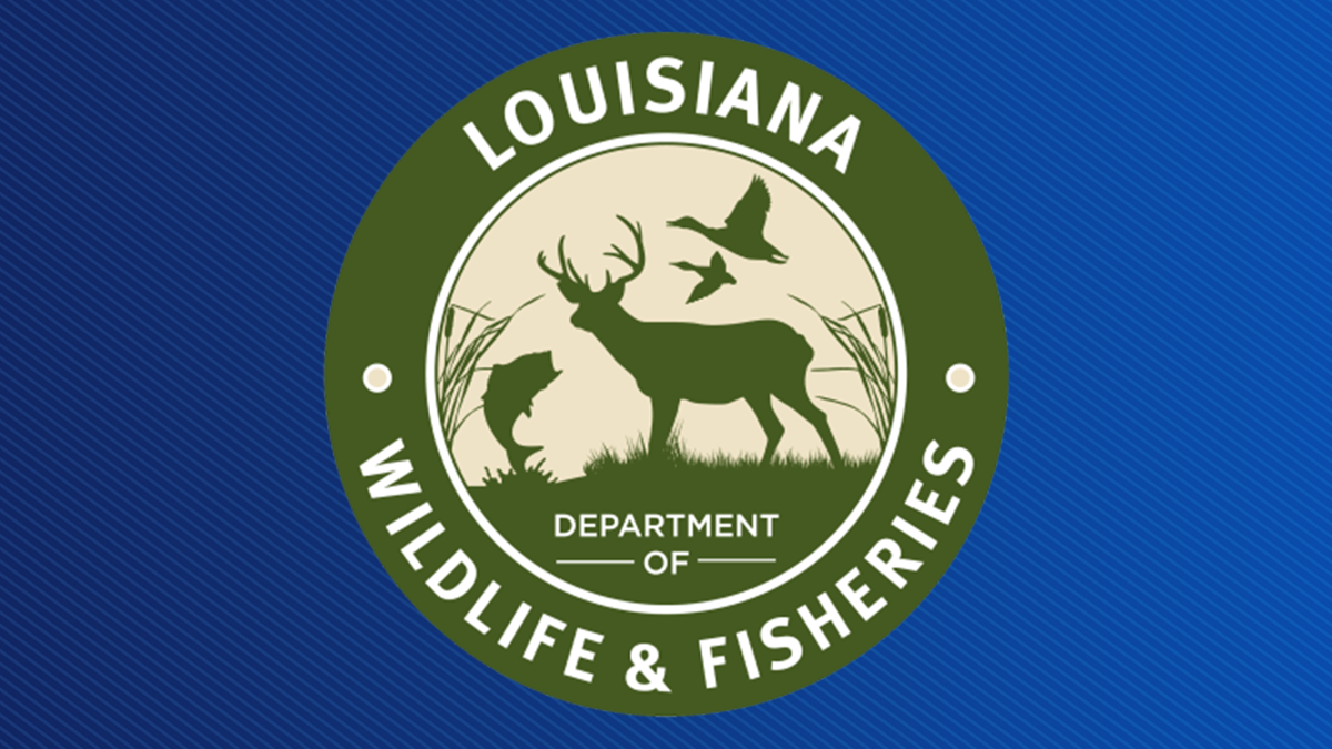 Squirrel, rabbit hunting seasons open Saturday in Louisiana ...