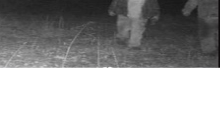 Suspects wanted in substation burglary | | ktbs.com