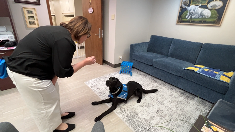 PAWS for Justice to comfort witnesses and victims at Miller Co ...