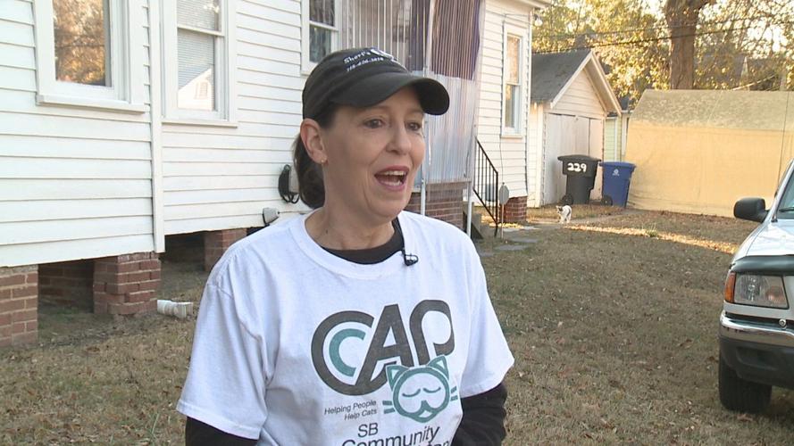 Law revision opens door to feline trap-neuter-return program in ...