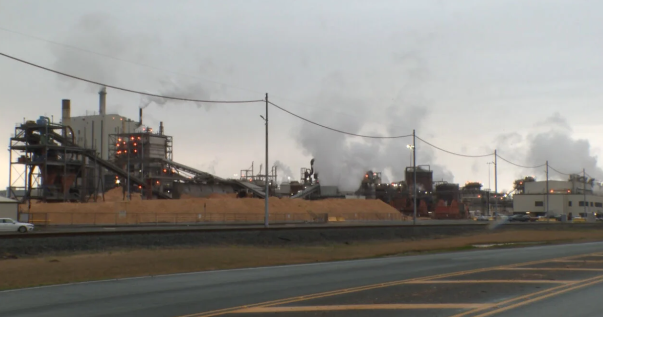 Help available beginning Thursday for IP's Campti mill employees ...