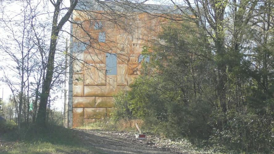 Bronze building owner finally served with court order after numerous ...