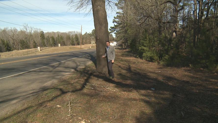 Tree removal on U.S. 79 draws ire of local residents | ArkLaTex In ...