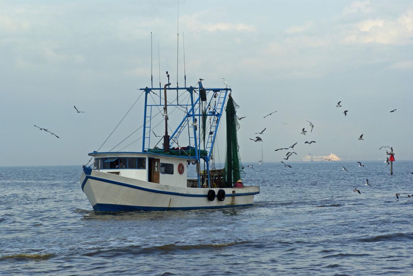 Landry signs seafood labeling bill into law | Health | ktbs.com