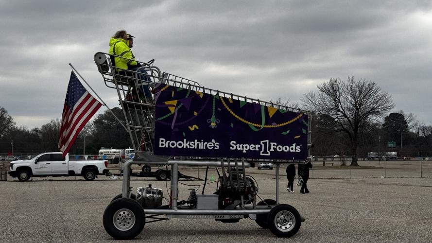 Mother Nature set the stage for Krewe of Sobek parade ahead of arctic ...