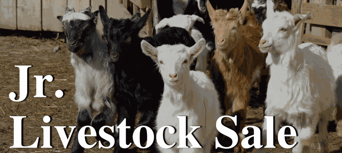 ALTAC Jr. Livestock Sale set for Wednesday morning | Raised In ...