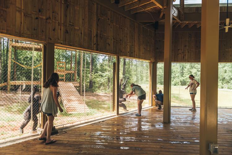 Chimp Haven completes $20M expansion | News | ktbs.com